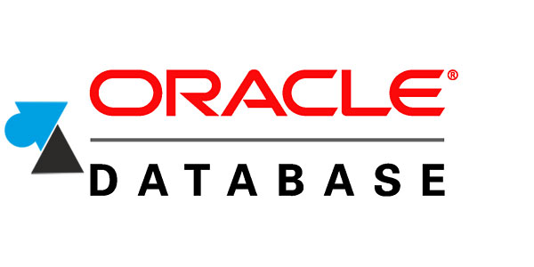 Oracle 10g To 11g Upgrade Firekasap